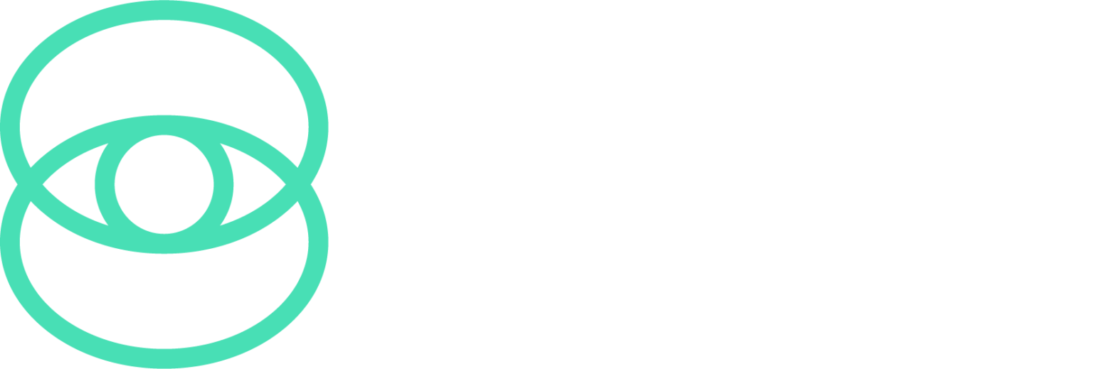 Home - DVS - Data Vision Services