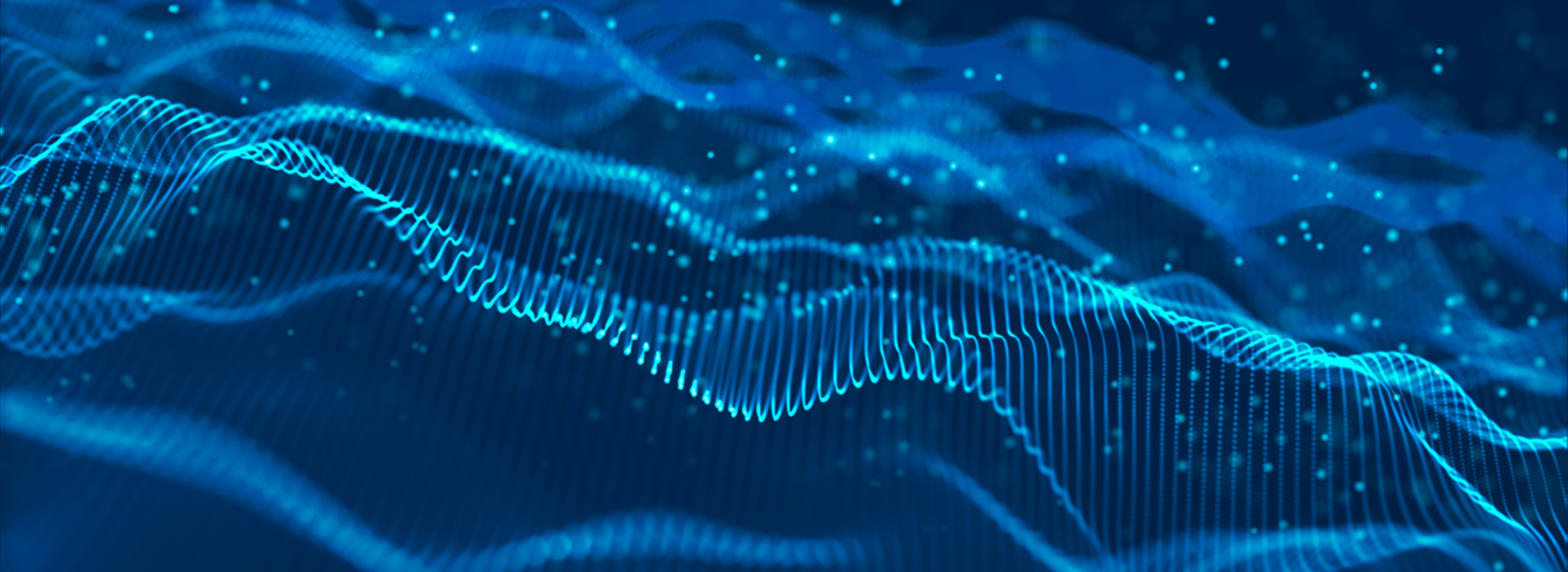 Insights Dvs Data Vision Services